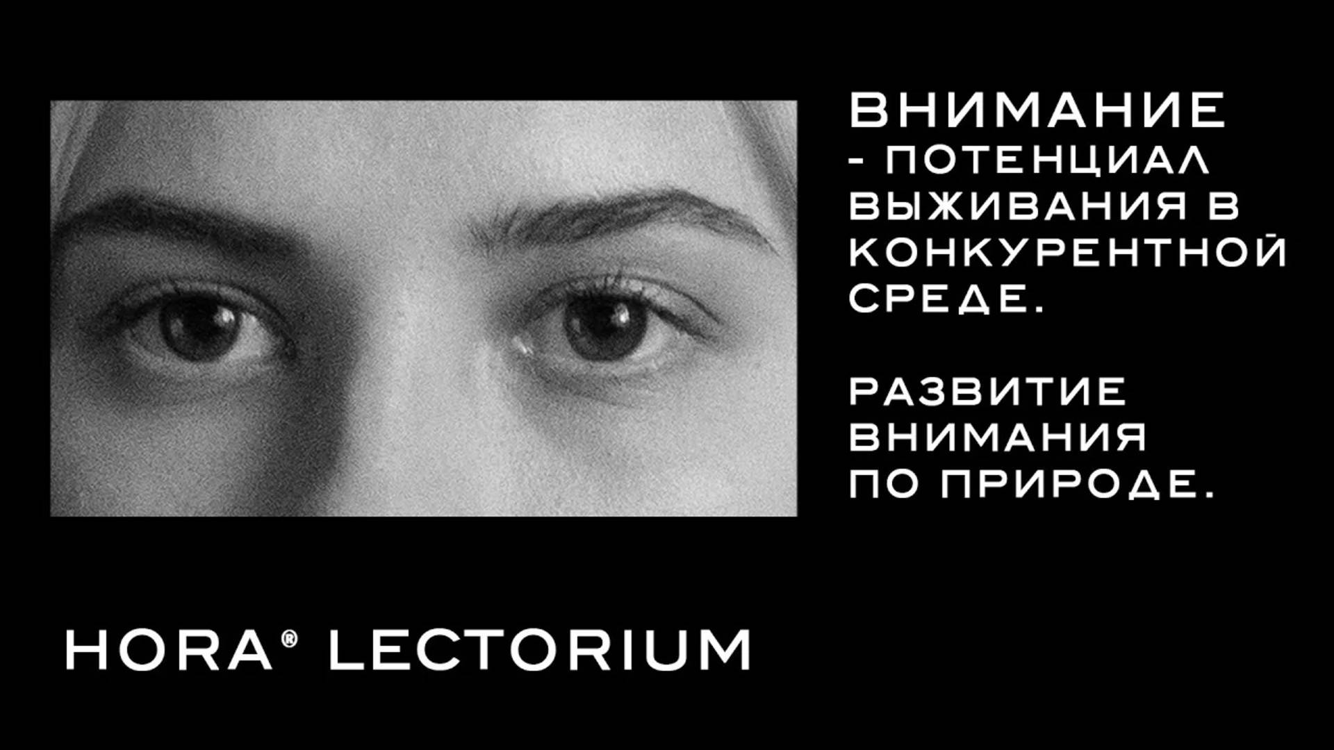 Внимание — самый недооцененный ресурс человека