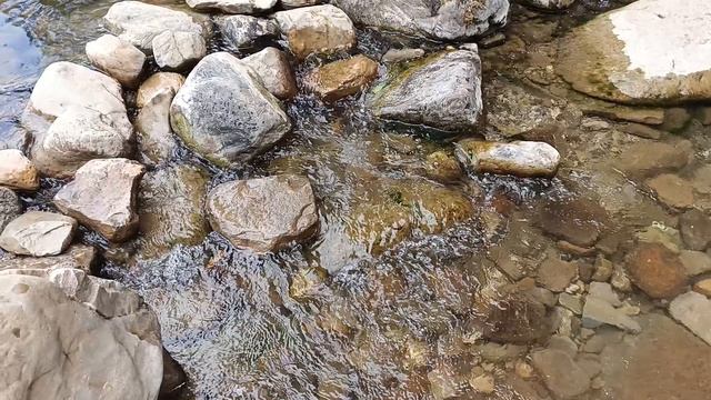 Звуки речки Юг России Адлер поселок Сириус Красивые места