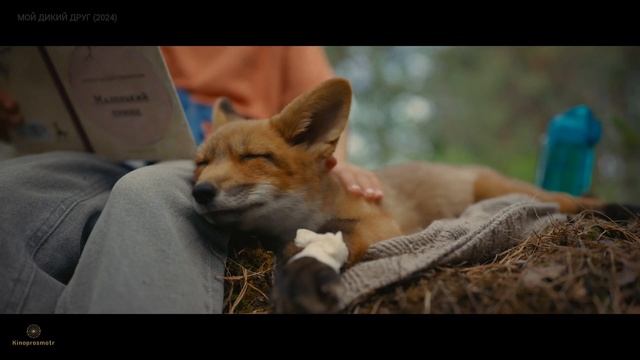 Мой дикий друг (2024)