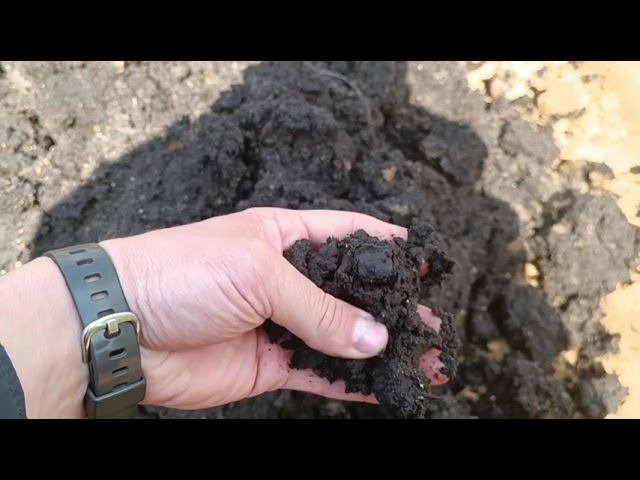 Как выровнять участок техникой за 2 дня и подготовить к посеву газона.