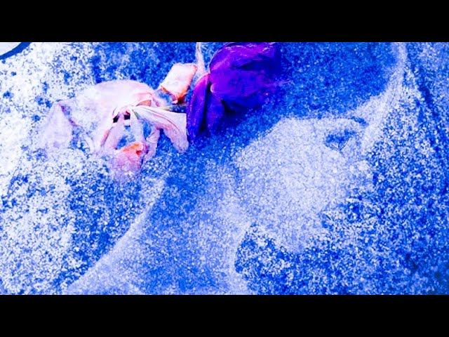 Николай Заболоцкий "Посредине панели я заметил у ног в лепестках акварели..." Читает Павел Морозов