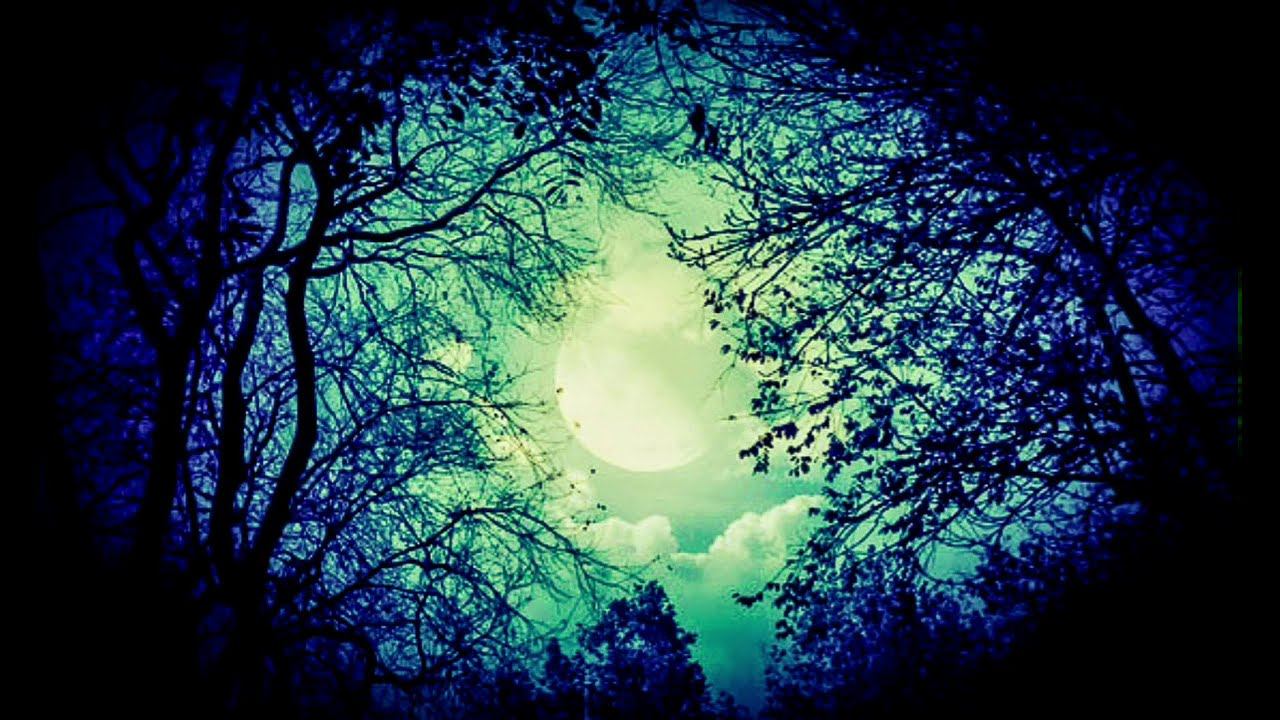 Осип Мандельштам "Смутно-дышащими листьями черный ветер шелестит..." Читает Павел Морозов