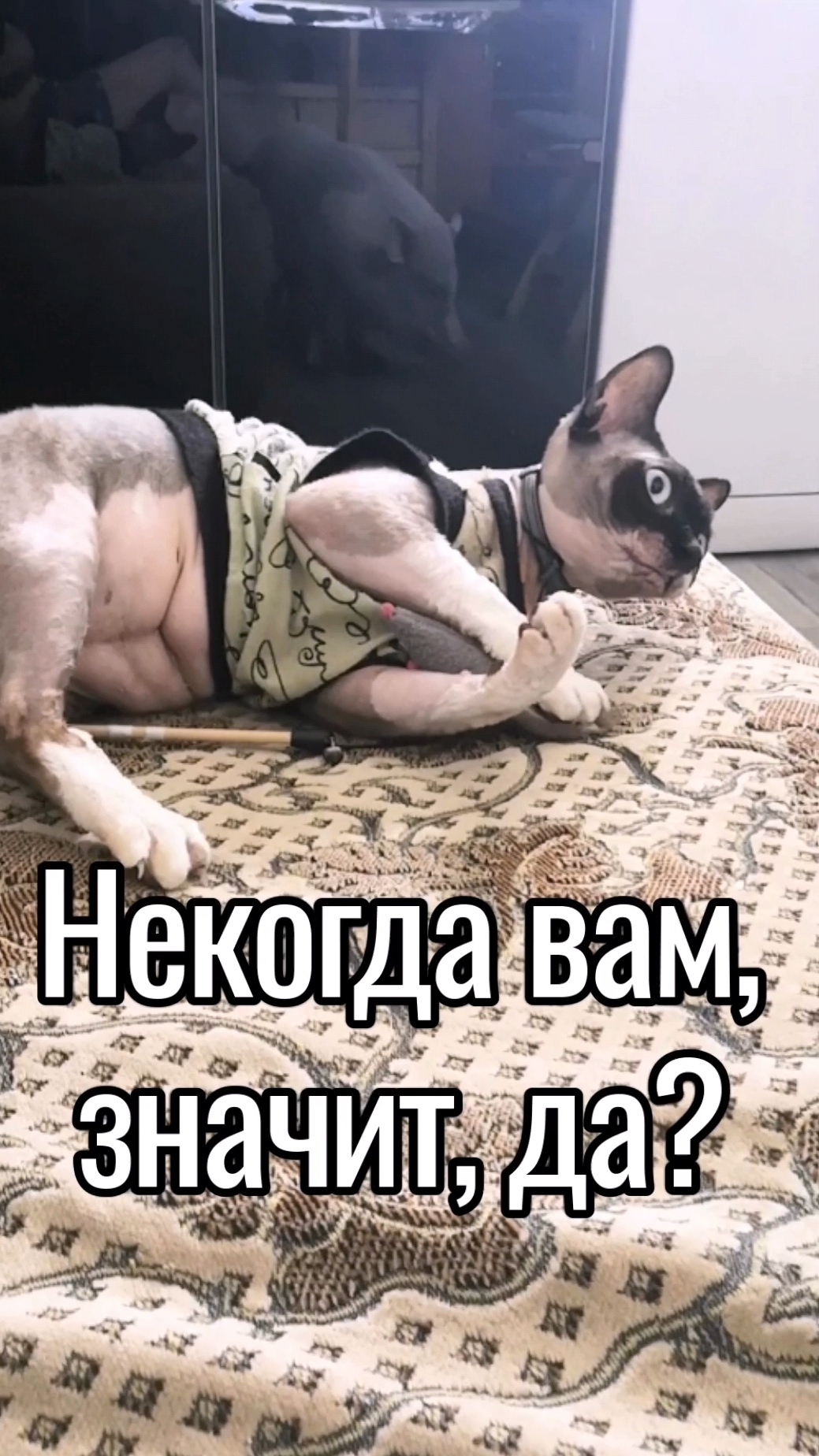 Хлоя-игрулька