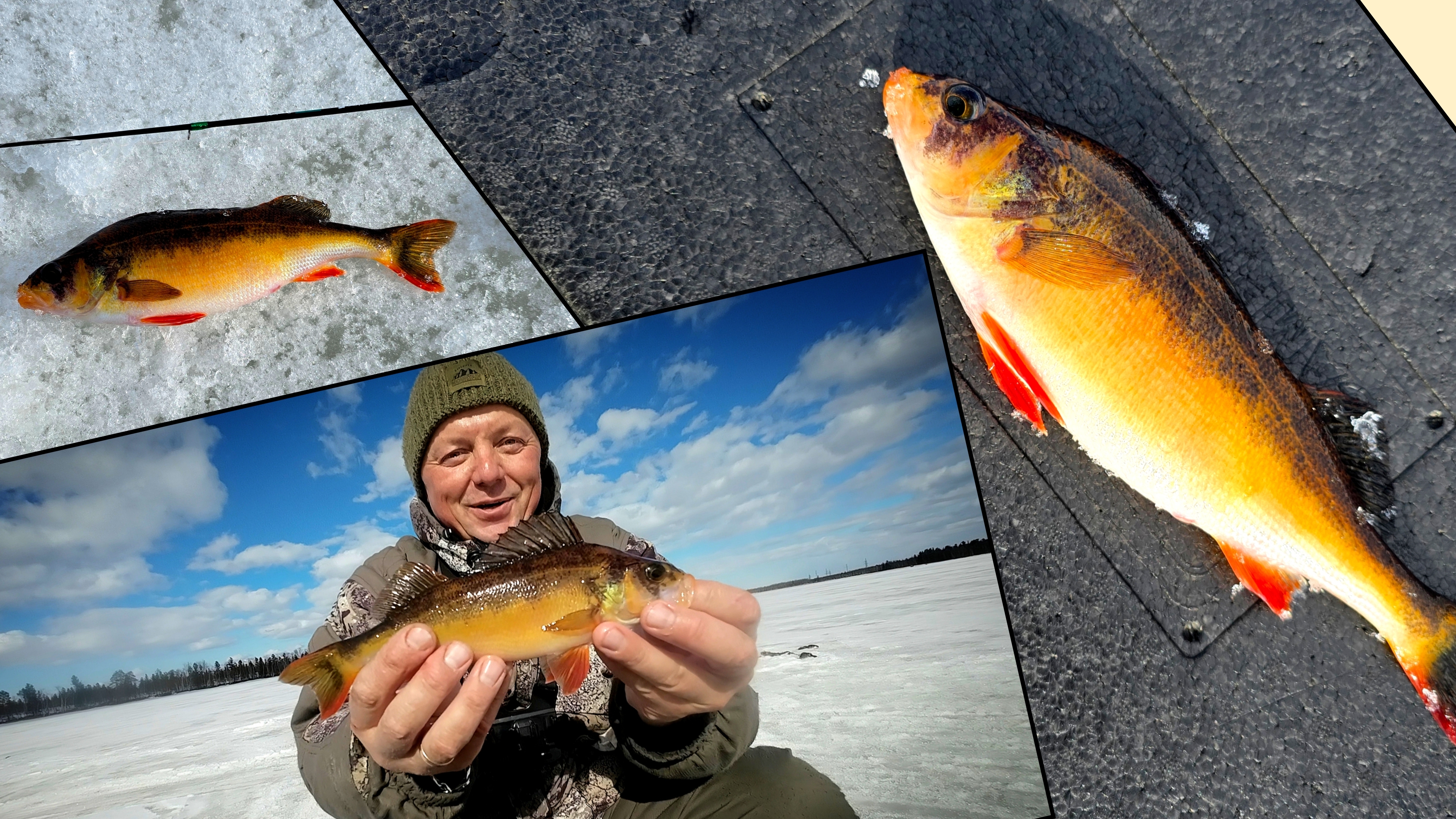 ОЧЕНЬ РЕДКАЯ РЫБА