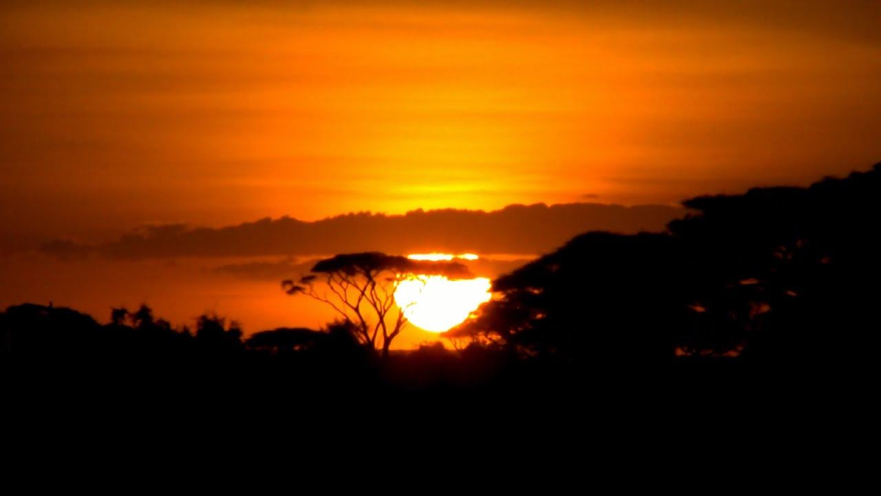 Можно ли объять необьятное? Нельзя, но мы будем! Сибиряки фотографируют. Африка 2010. Ролик