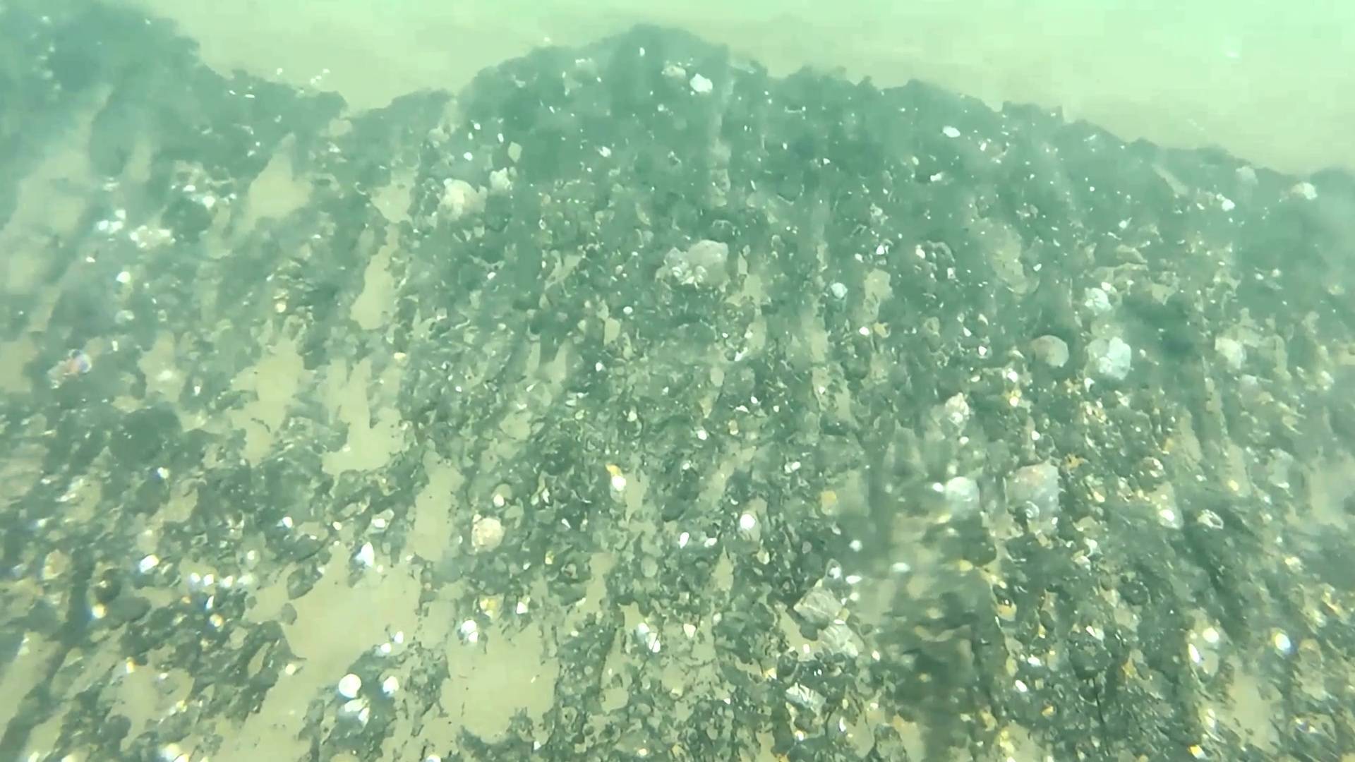 Анапа. Мазут на дне Черного моря возле пляжа в Джемете