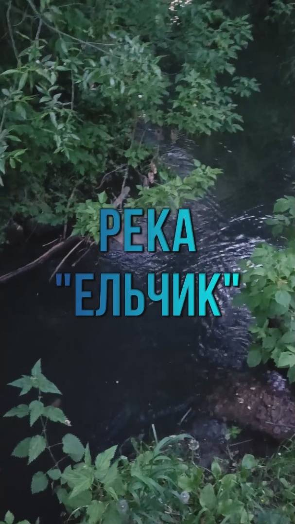 Река Ельчик