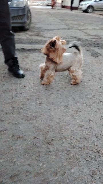 Охота на белок в Канском парке ©20250416