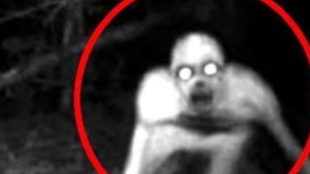 ЫРКА УКУСИЛ ЕГОРА 😱😱😱😱😱😱😱😱😱😱