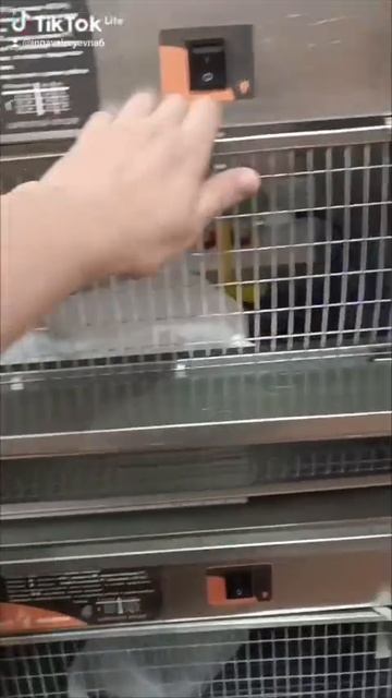 Приятный момент, когда получили тот самый брудер😍