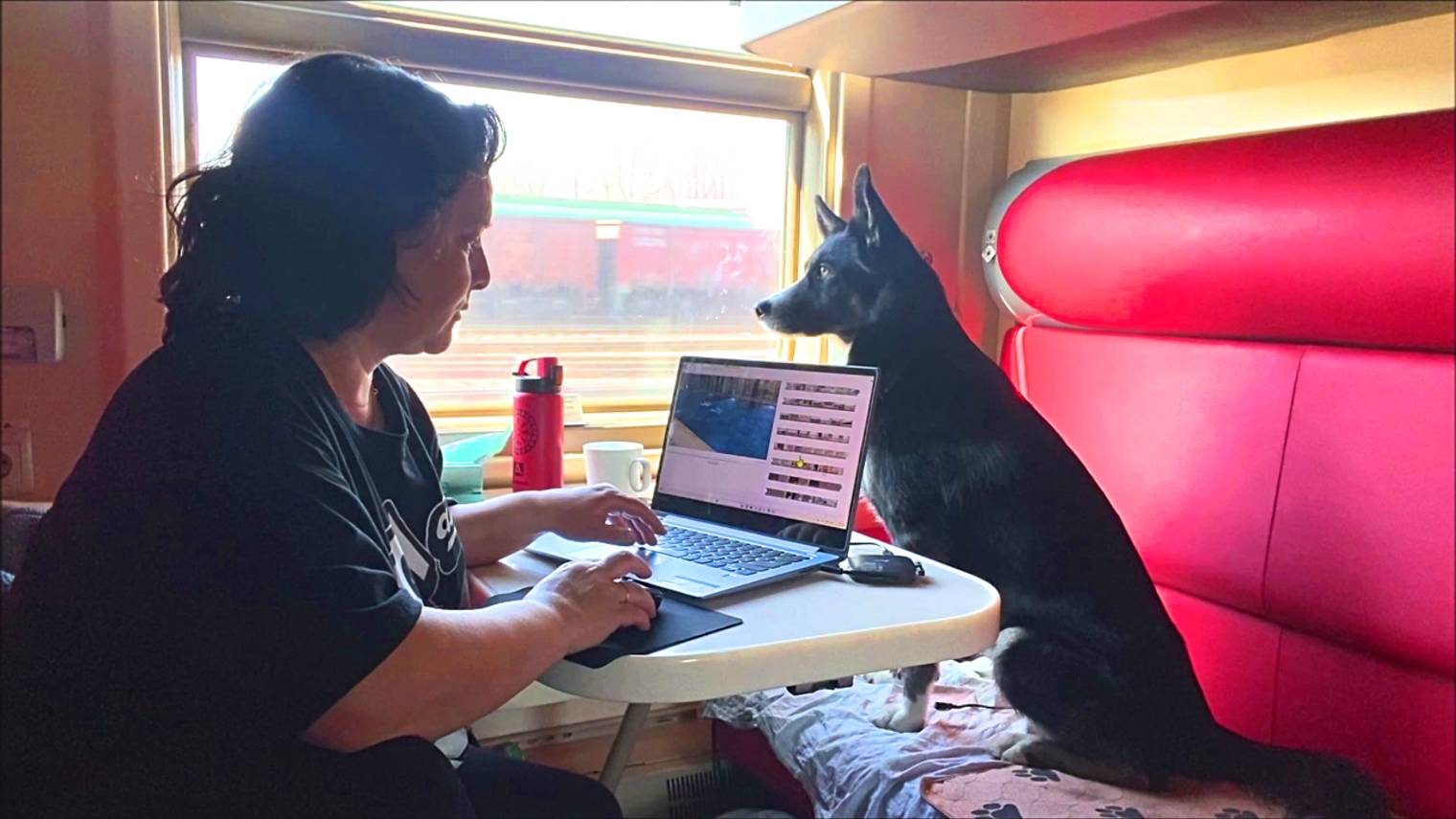 Вдвоём с собакой в КУПЕ больше суток💥Фирменное КУПЕ из 90-ых- обзор😊Дорога из Геленджика в Москву!