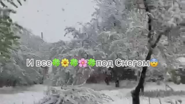 Горные районы Дагестана завалено❄️снегом🙄а на городских низменностях потопы, от ливневых дождей