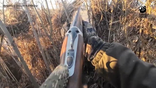 Весенняя охота на тетерева. Промо. Канал Охотник и Рыболов