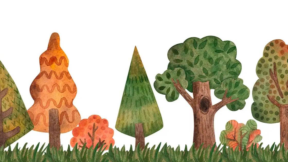 Как маленькая Ёлочка полюбила свои колючки