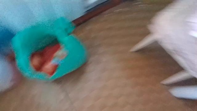 Обзор покупки из магазина Пятёрочка ✅