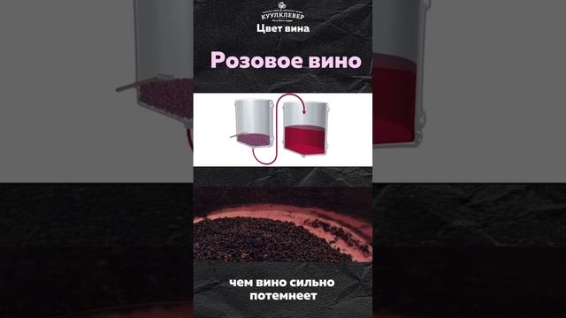 Путеводитель по Коллекциям СОМЕЛЬЕ. Каким бывает вино? Цвет вина.