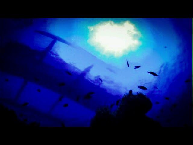 Осип Мандельштам "В огромном омуте прозрачно и темно..." Читает Павел Морозов