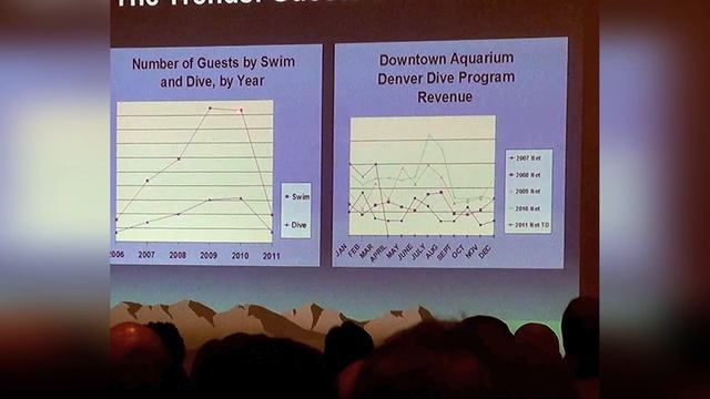 The Programs  Swim With The Fish