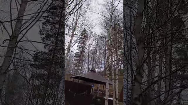 Страшное видео.обезбашенный.