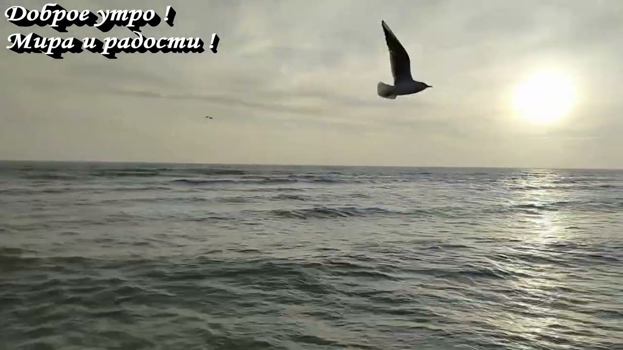 Доброе утро! Евпаторийское море!