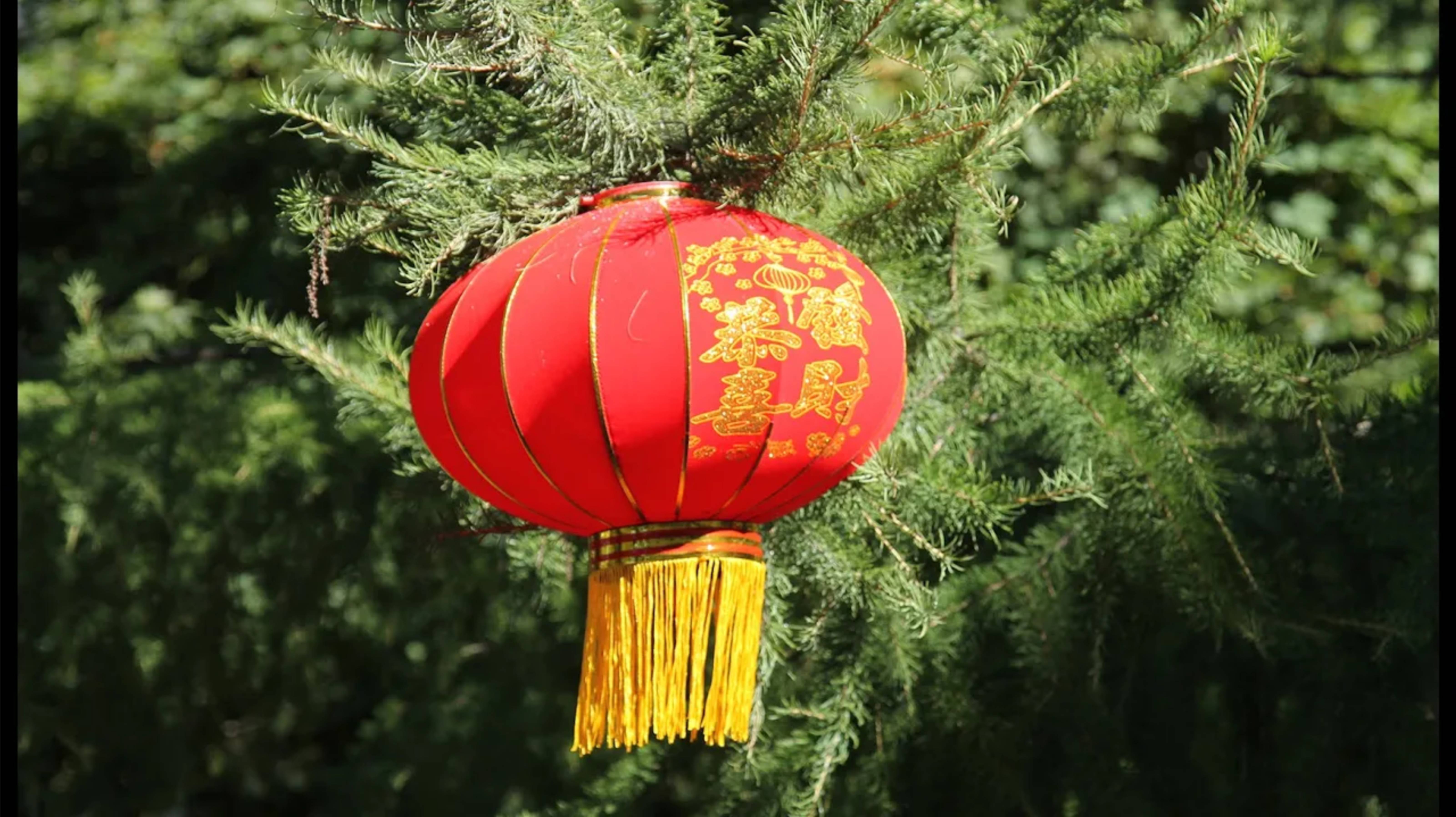 Фестиваль Середины осени 2022 года 10 сентября