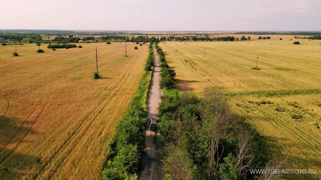 Трекинг Автомобиля: DJI Mini 3Pro
