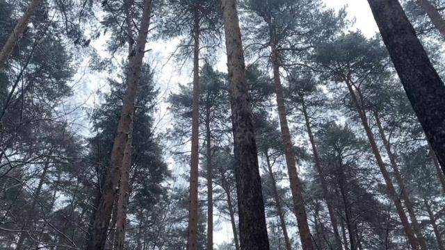 Корчёмкина Валерия. Б. Пастернак "Снег идёт"