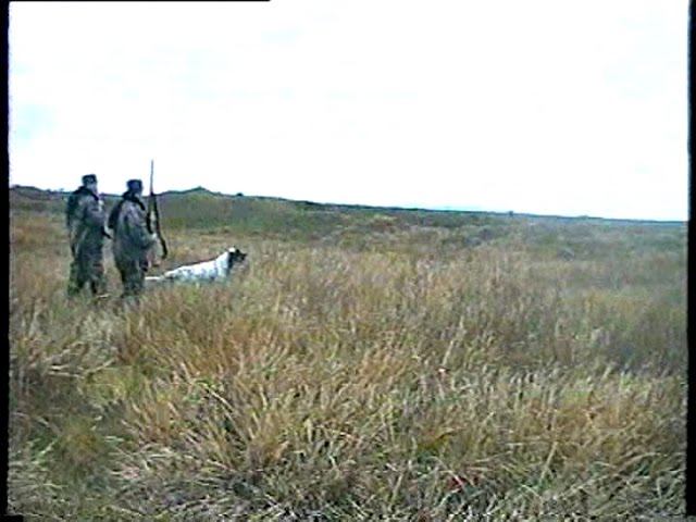 Усть-Абакан. Охота с легавыми. 2005г. Фильм.