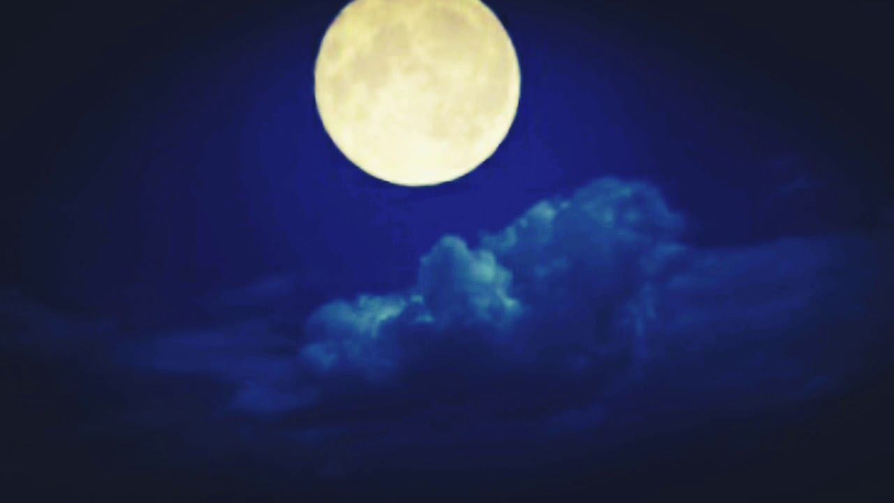 Осип Мандельштам "Слух чуткий парус напрягает..." Читает Павел Морозов