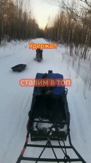 ДЕТСКИЕ РАЗВЛЕЧЕНИЯ.