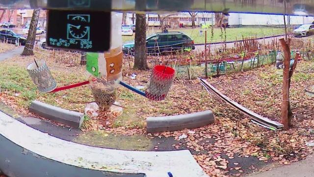 Под окном 2024 дек 01 длинная рука с секатором водятла на 625 сарае