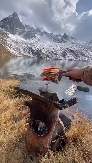 Фаршированная говядина на природе 🥩 🪵