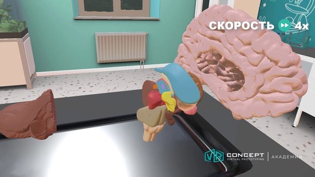 VR урок по биологии «Мозг»