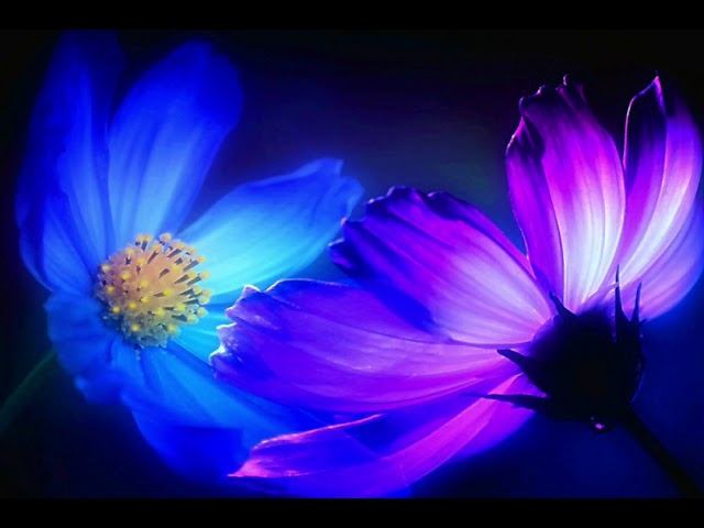 Владислав Ходасевич "Друзья, друзья! Быть может, скоро..." Читает Павел Морозов