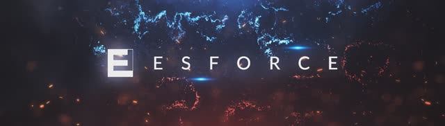 Esforce & ПЦ Владимира Яцкевича