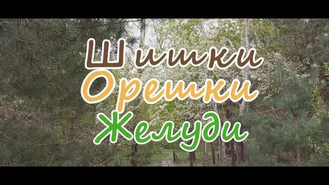 Шишки, орешки, желуди