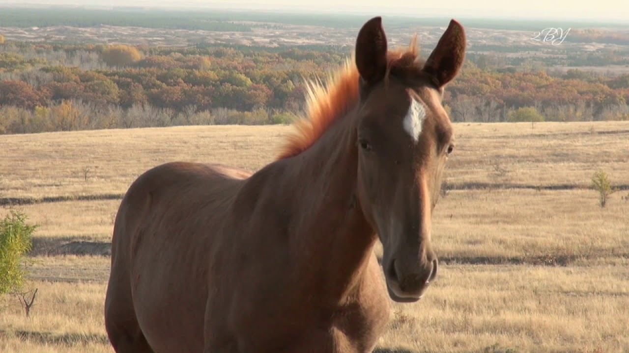 осень стихи