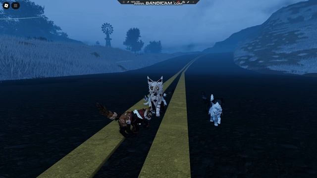 Неугомонные котятки