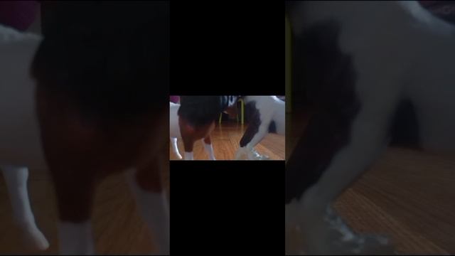 продолжение 3 сезон 5 серия