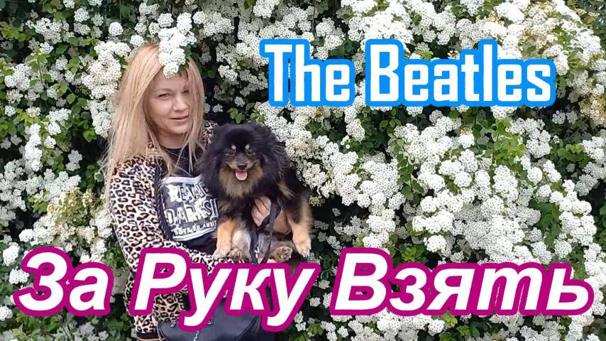 ЗА РУКУ ВЗЯТЬ