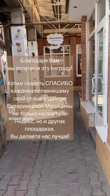 Будни ветклиники