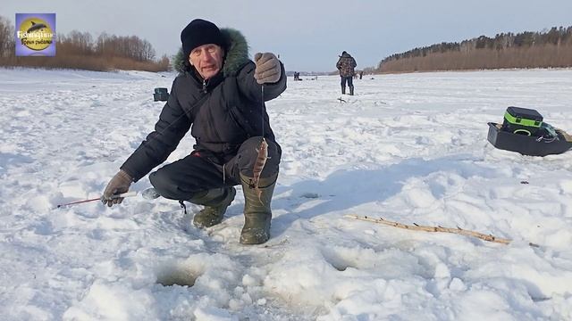 Рыбалка по льду. Ищу окуня. Март 2025.