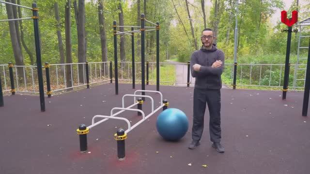Упражнения для спины от Шамиля Аляутдинова мяч, турник, брусья