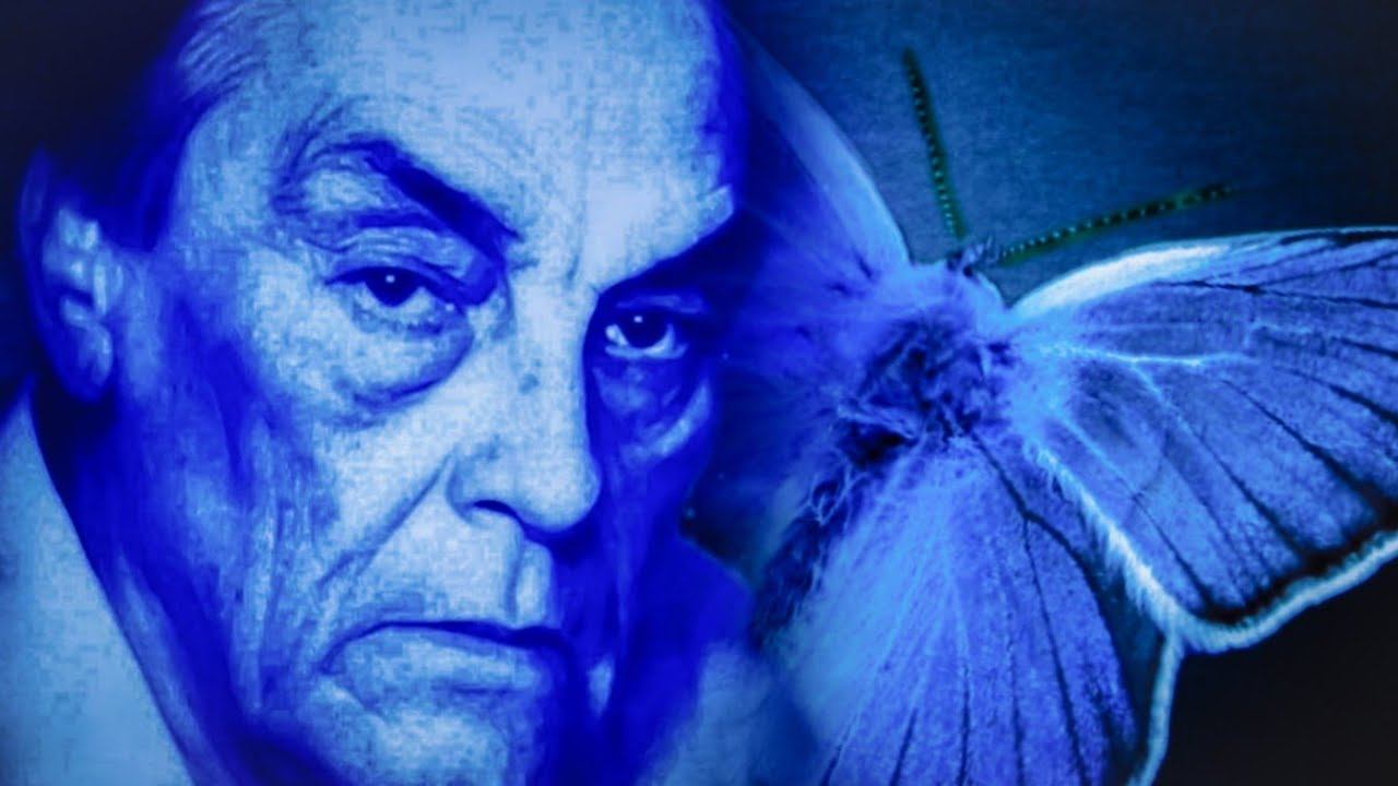 Арсений Тарковский "Бабочка" (Из тени в свет перелетая...) Читает Павел Морозов