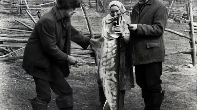 1964 07 ИИ Видео Таймень