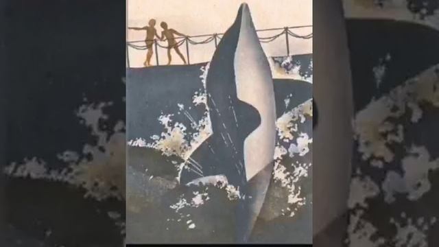 Аудиосказка. Дельфиний остров