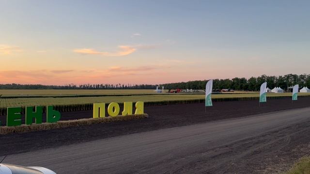 День поля!!! Первый день