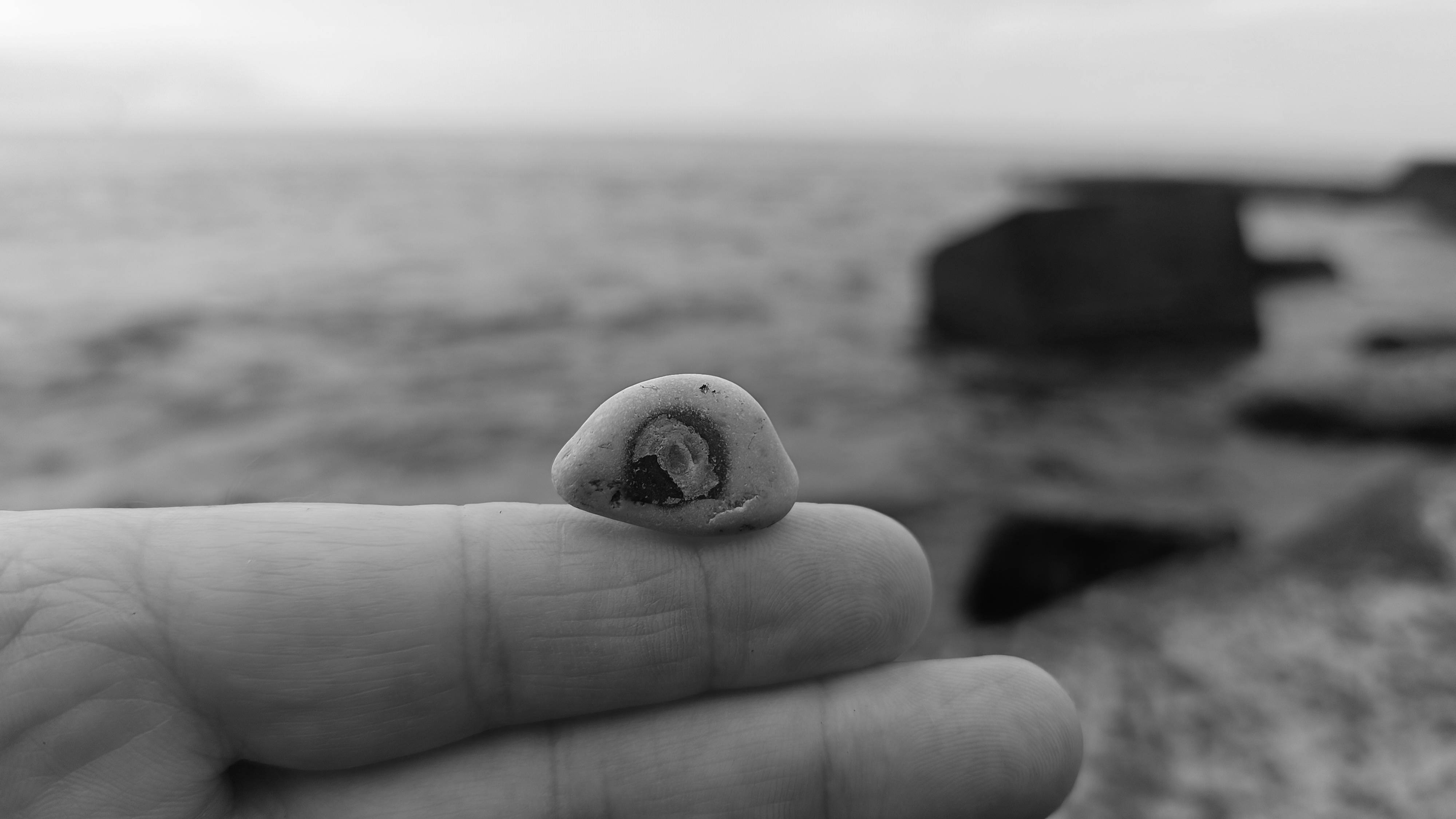 Полуджунгли и весеннее море