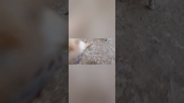 продолжение 3 сезон 6  серия