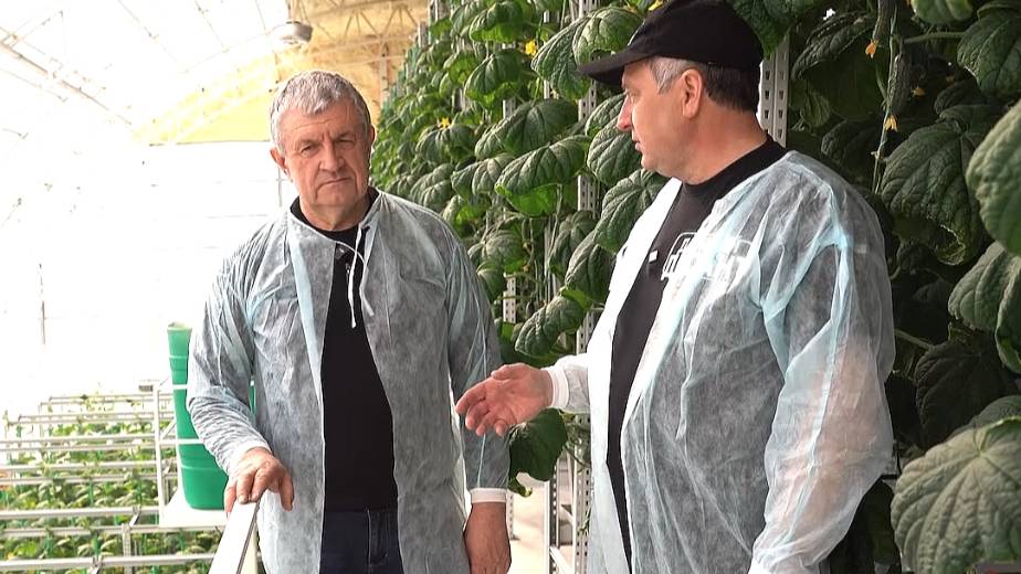 «Дачный десант» на Камчатке от 16 апреля 2025 года: такой теплицы вы еще не видели!